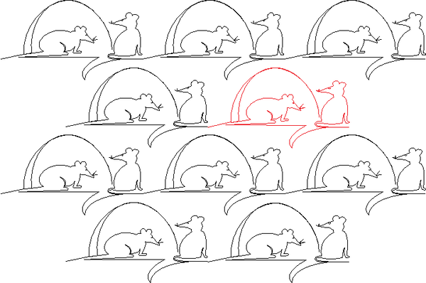 Mouse Colony – lauraleefritz